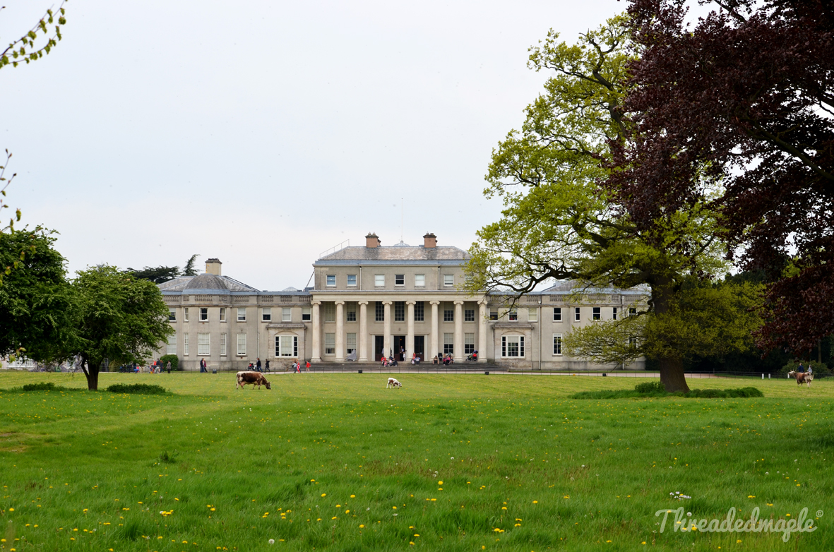 A visit to Shugborough Hall - Threaded Maple